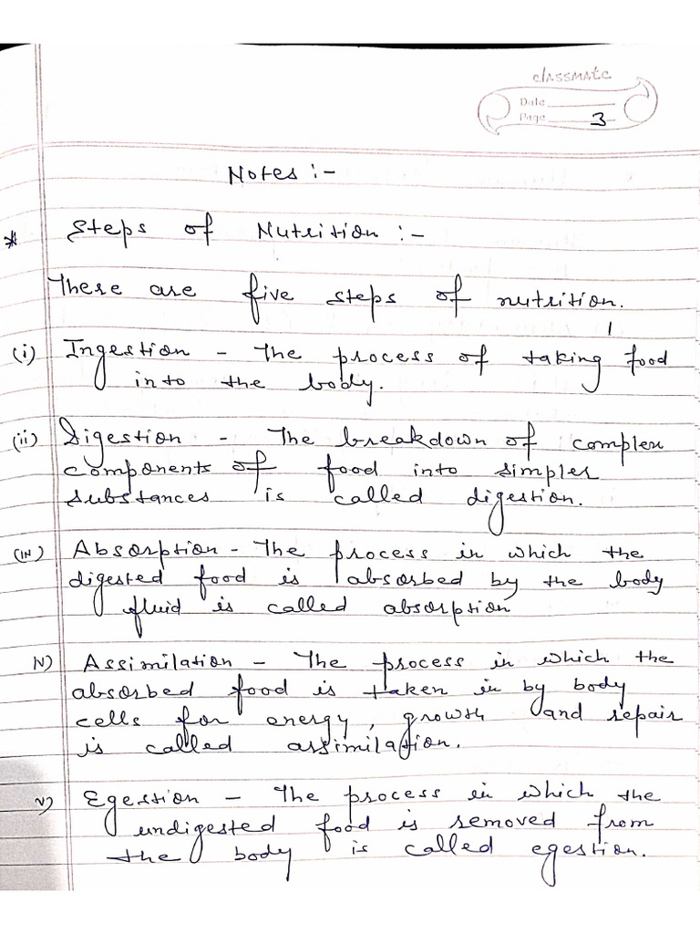 Ch.2 Notes (Science) class 7 | PDF