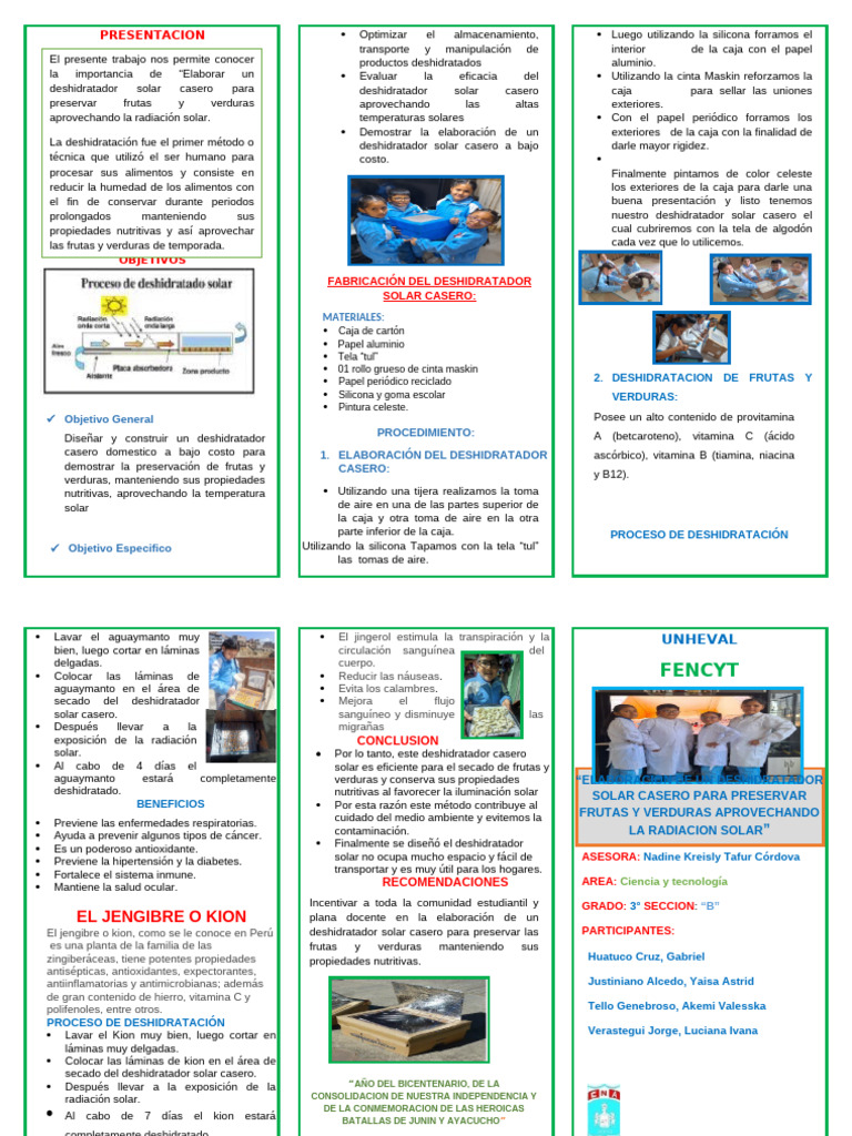 Triptico Grupo Fencyt 4 - Correjido | PDF | Papel | Fruta