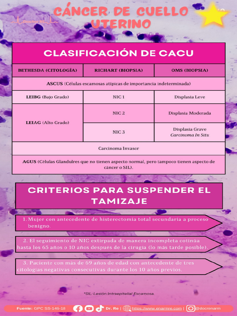 Flashcards Manual 2 - 241108 - 182908 | PDF