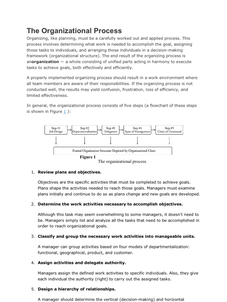 The Organizational Process