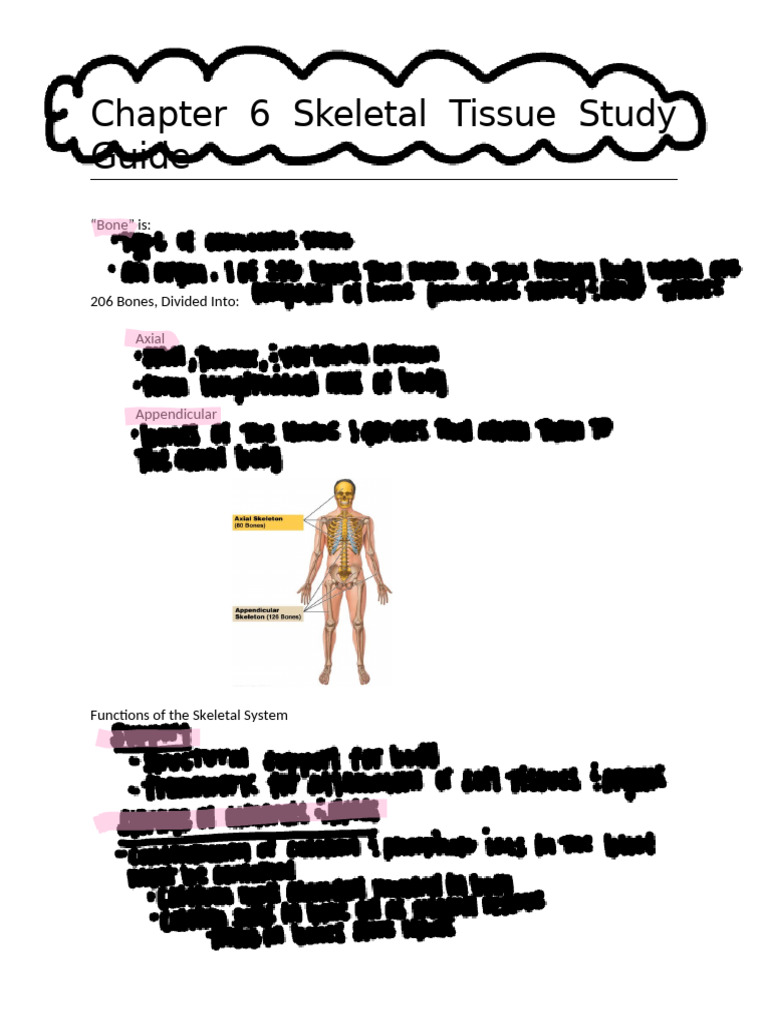 ch 6 study guide | PDF | Bone | Skeletal System