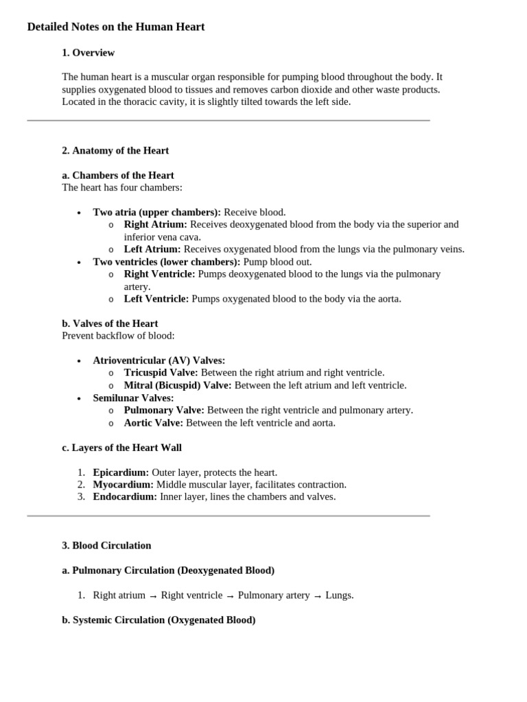 Detailed Notes On The Human Heart | PDF | Heart | Heart Valve