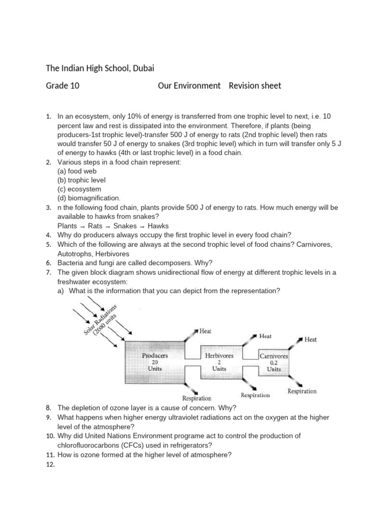 Grade 10 Ecosystem Energy Flow Revision | PDF