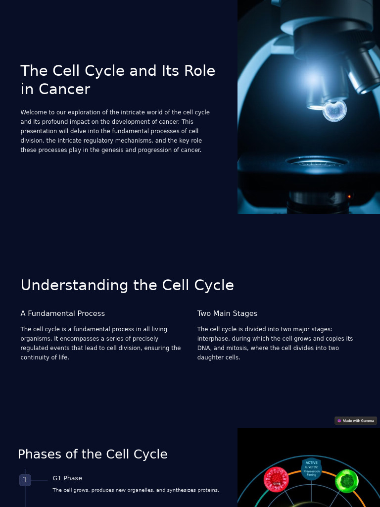 Cell Cycle's Impact on Cancer Development | PDF | Cell Cycle | Cell Growth