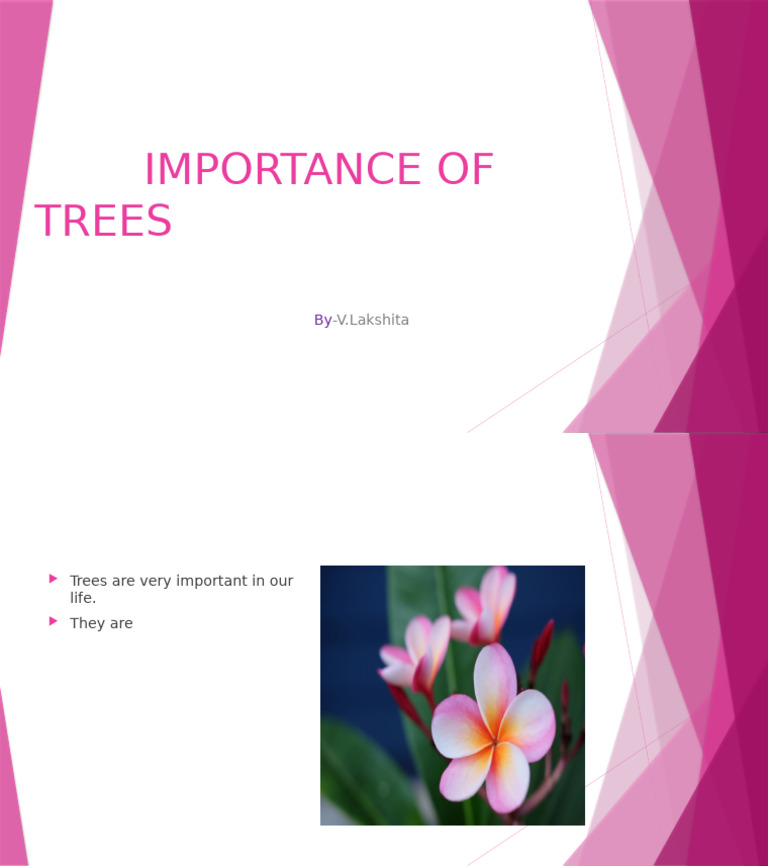 Presentation6 | PDF