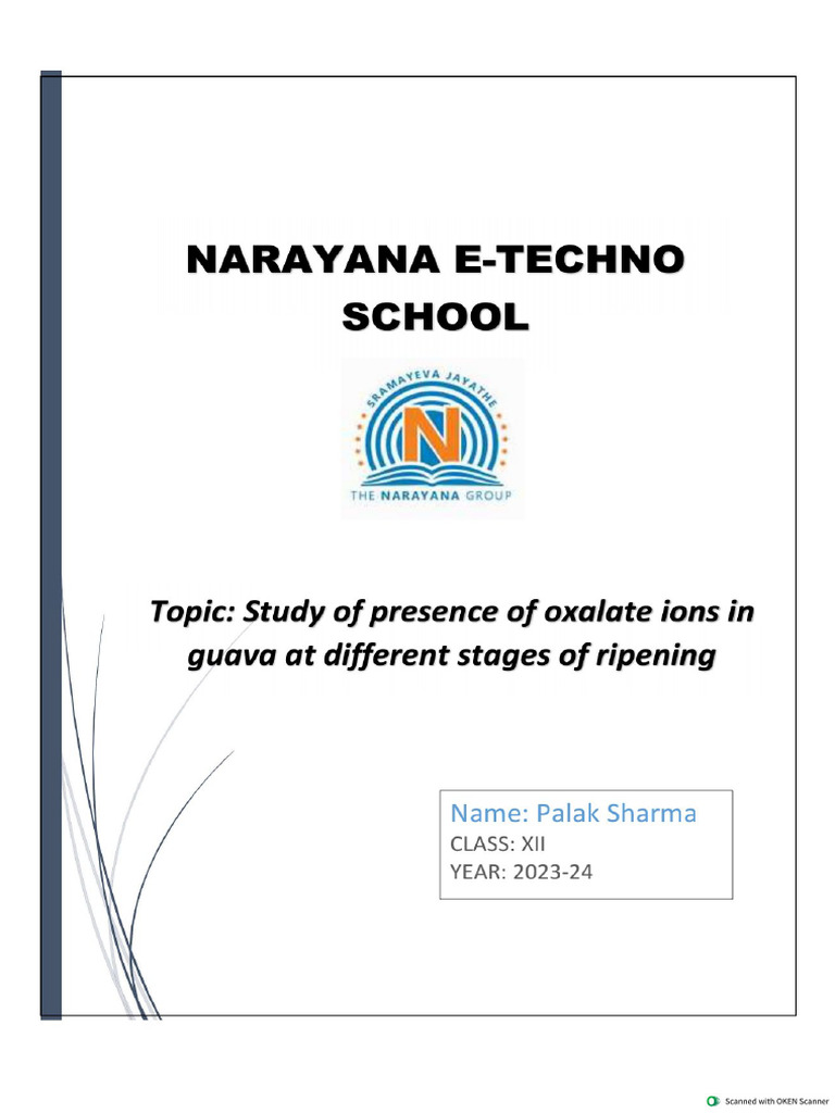 Chem Project Final | PDF
