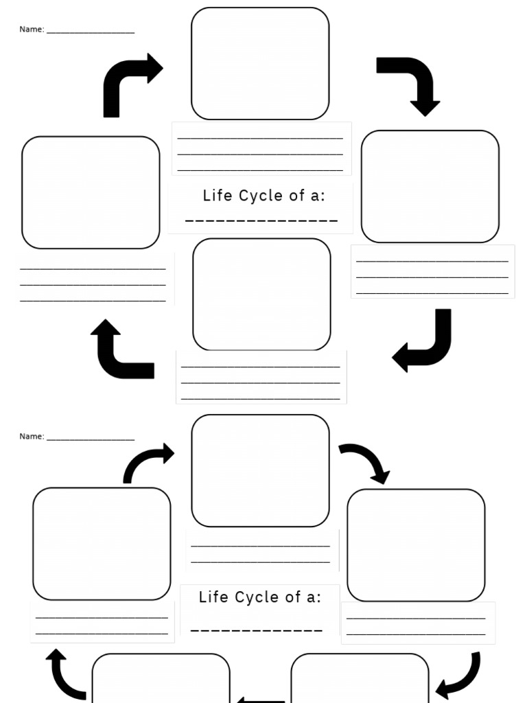 BlankLifeCycleTemplate 1 PDF | PDF