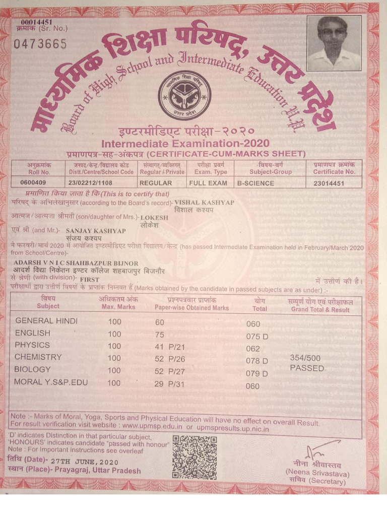 intermediate marksheet.vishal | PDF