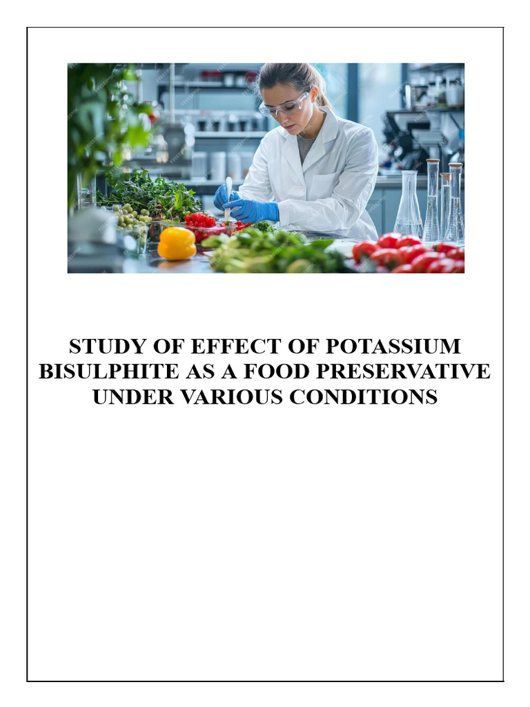 Chemistry Project XII CBSE | PDF | Food Preservation | Decomposition