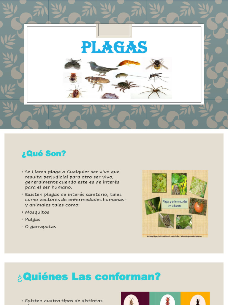 PLAGAS | PDF