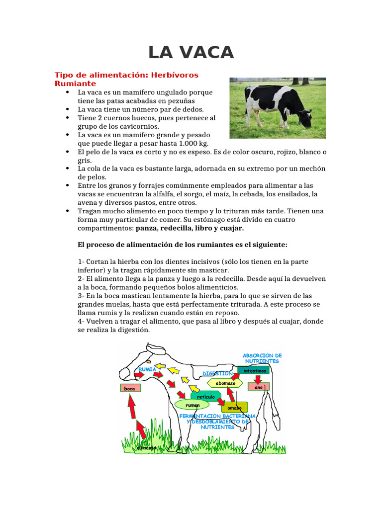 Carn Í Voros | PDF | Depredación | Cerdo