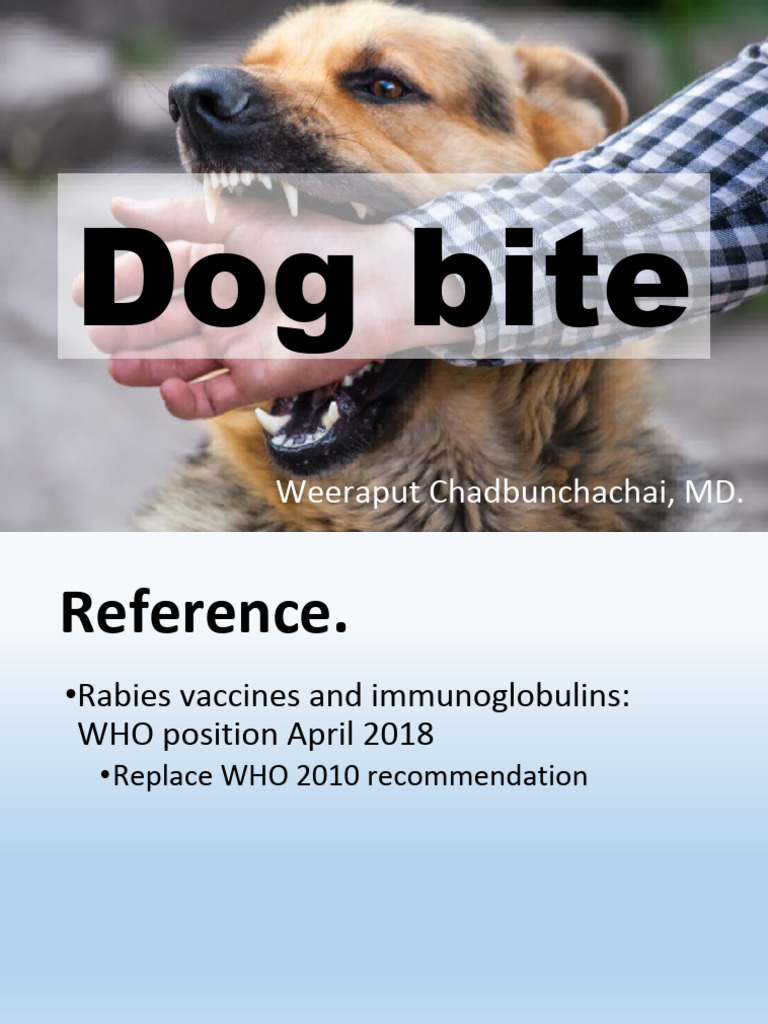 Rabies Management After Dog Bites | PDF | Rabies | Health Sciences