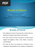 Normal Vital Signs for Common Animals | PDF | Dairy Cattle | Cattle