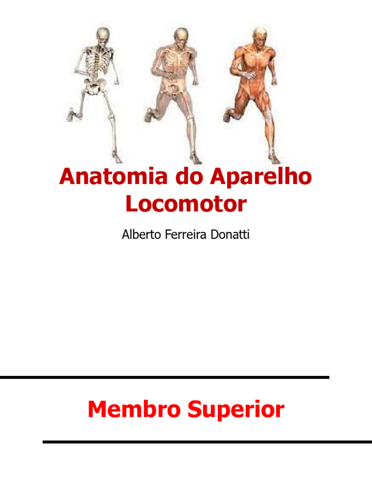 Anatomia Do Aparelho Locomotor - Membro Superior | PDF | Cotovelo | Sistema Locomotor