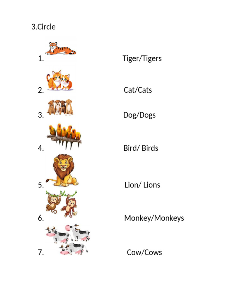 Unit 5 - Lesson 2 | PDF