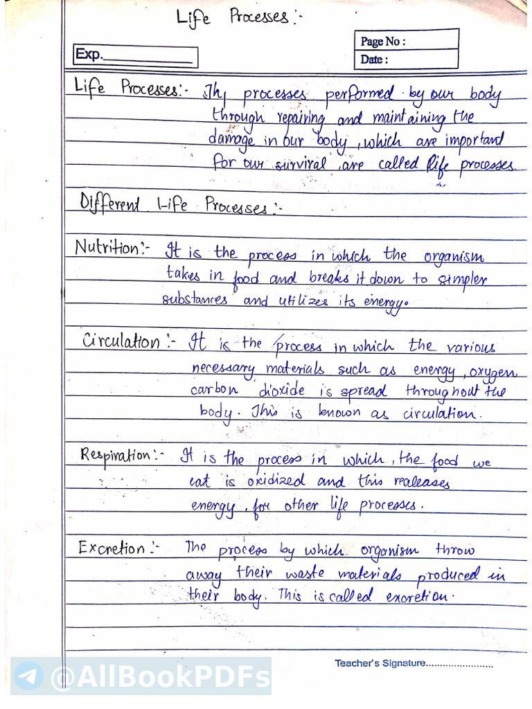 Class X - Biology Handwritten Notes | PDF
