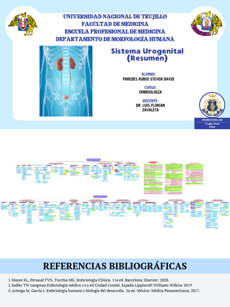 Resumen - Sistema Urogenital | PDF | Riñón | Vagina