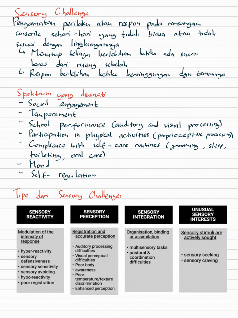Sensory Challenge | PDF