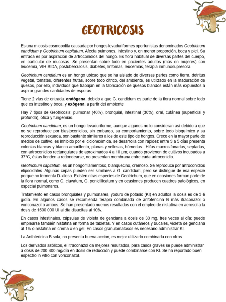 Geotricosis: Micosis y Tratamientos | PDF | Hongo | Especialidades Medicas