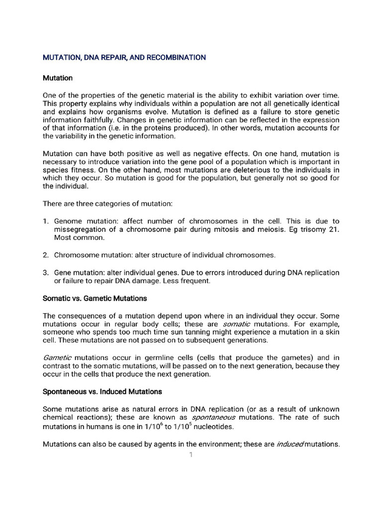 Mutation and Recombination 2022 | PDF