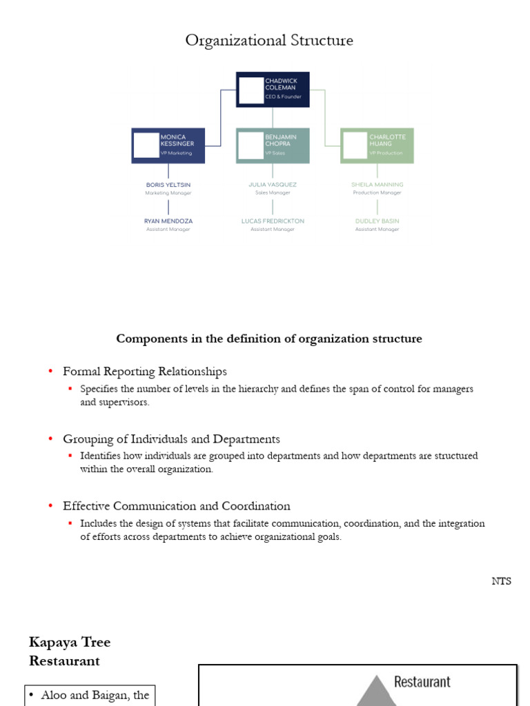 Organizational Structure | PDF | Decentralization | Standardization