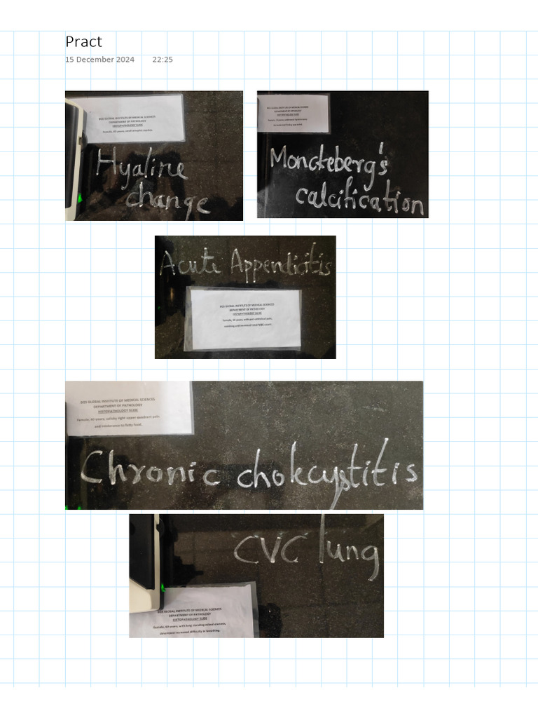 Pract: 15 December 2024 22:25 | PDF