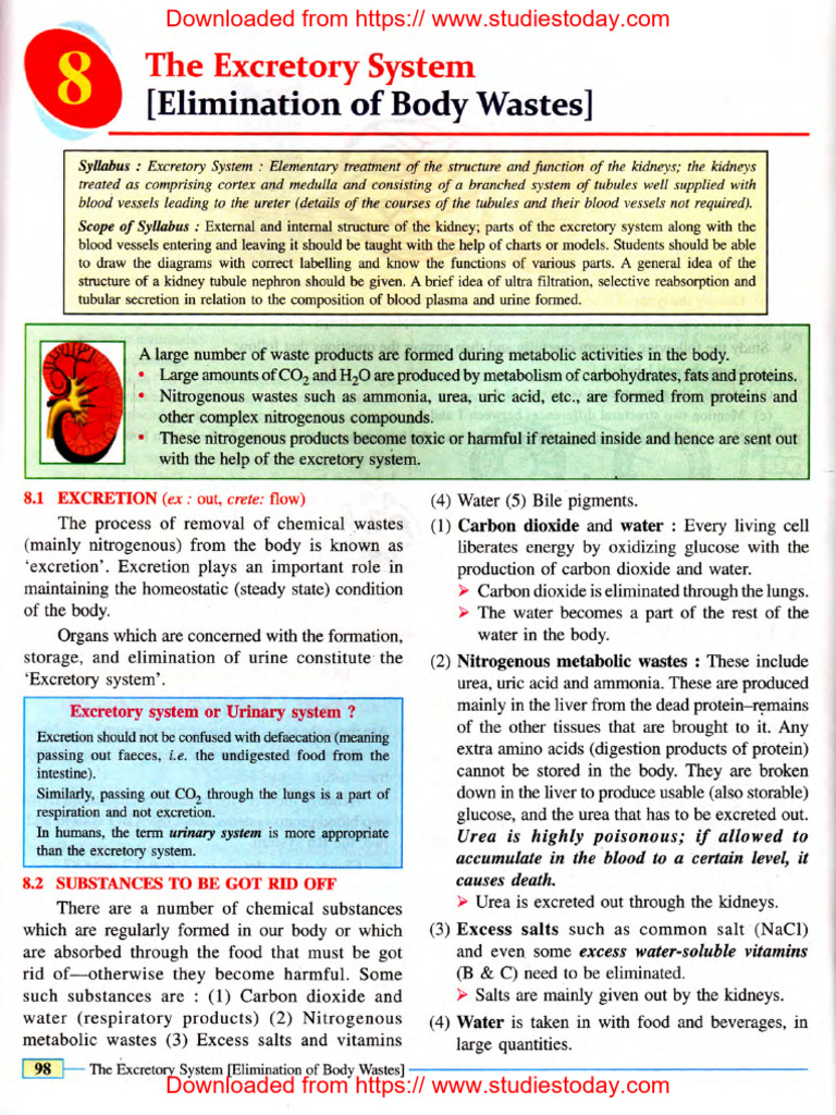 Downloaded Resources From Studiestoday Pdf