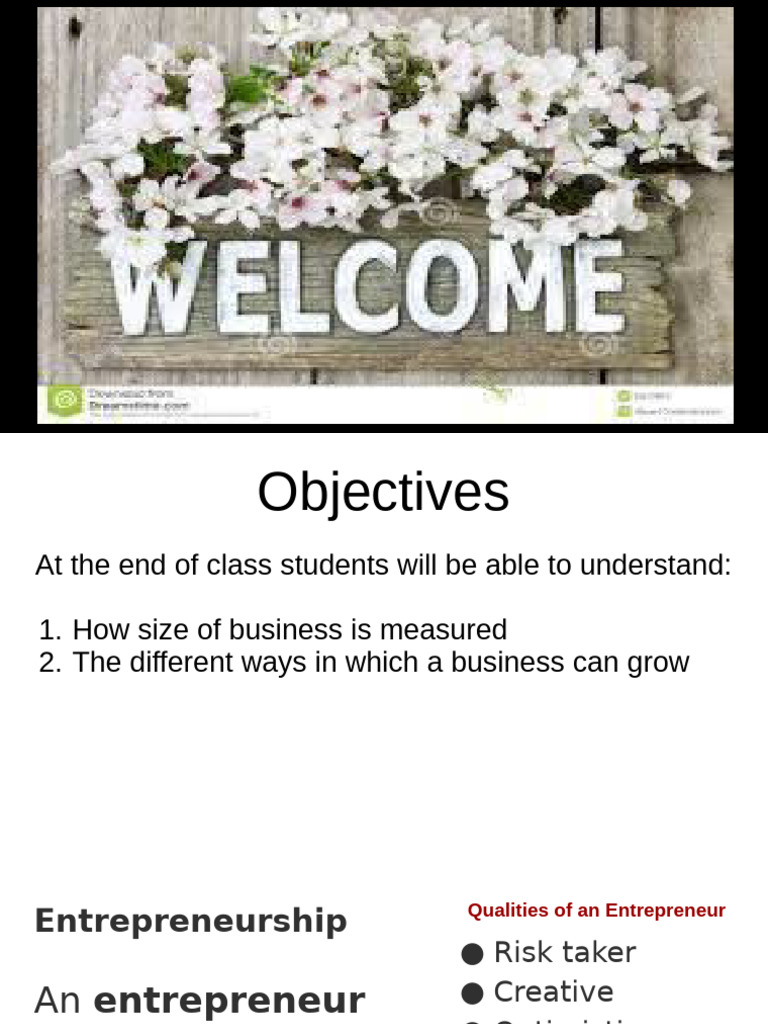 Enterprise, Business Growth and Size | PDF | Entrepreneurship ...