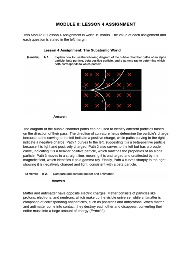 Module 8 - Lesson 4 Assignment | PDF