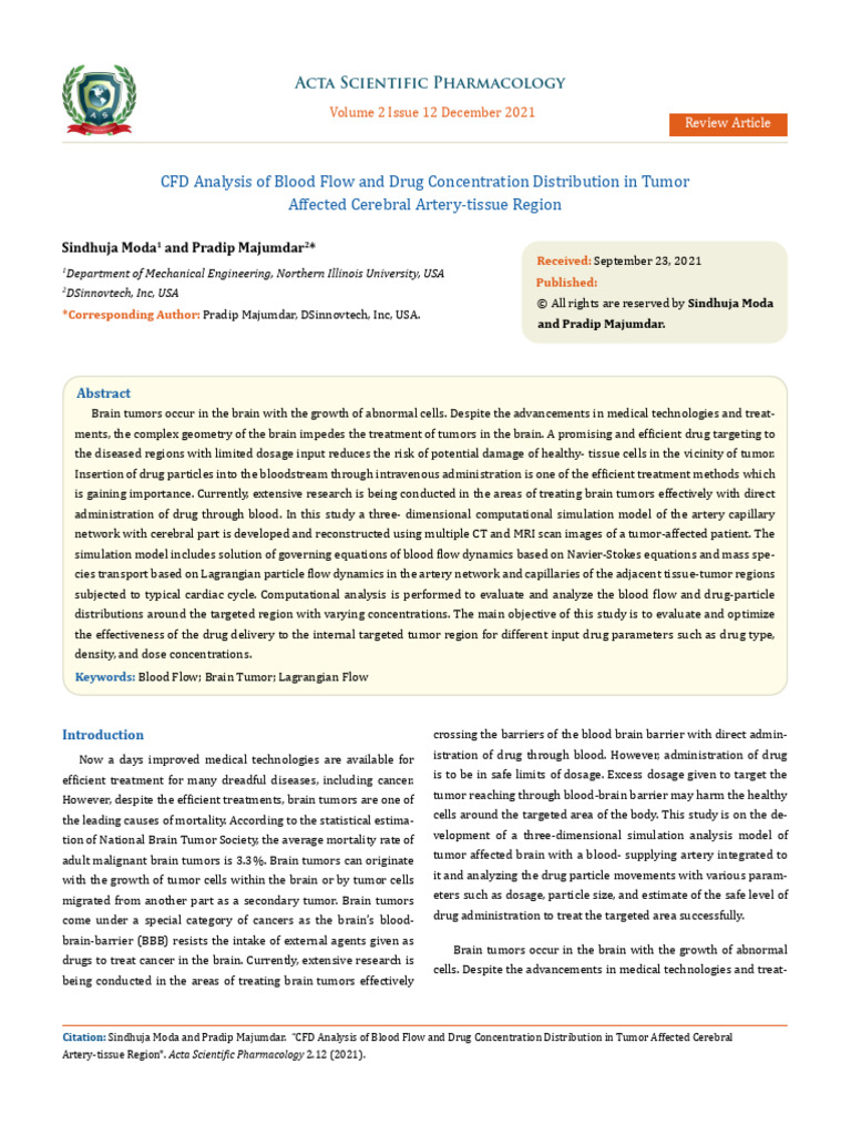 CFD Study on Drug Delivery in Brain Tumors | PDF | Blood Vessel | Artery