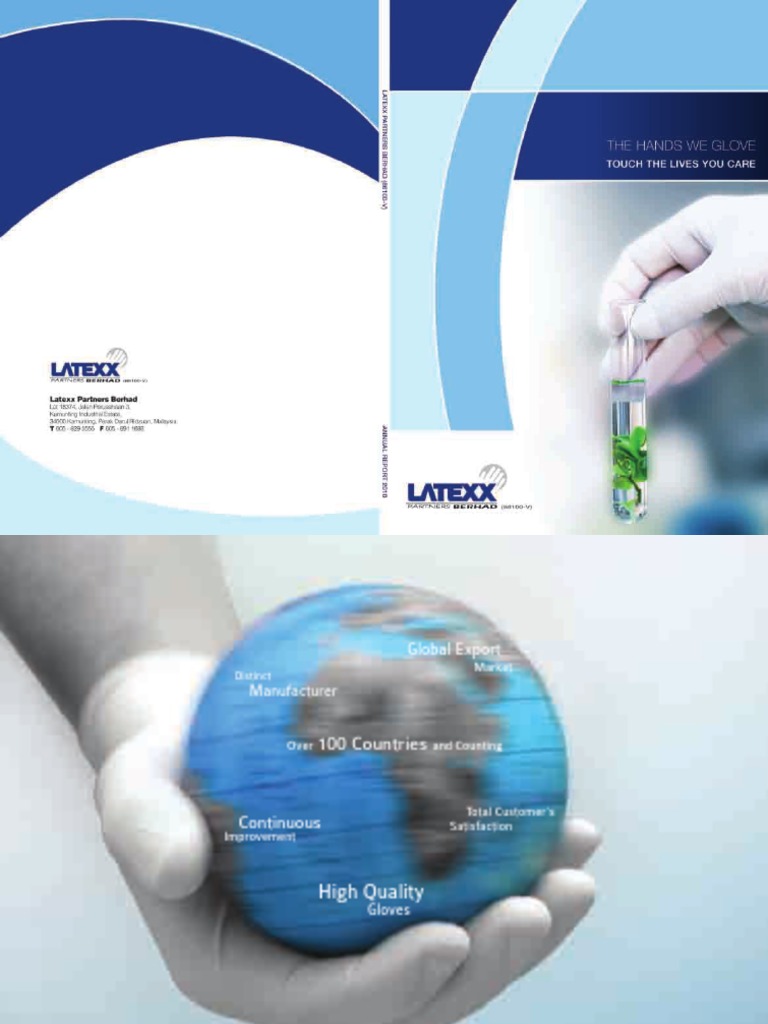 LATEXX 2010 Annual Report Overview | PDF | Internal Audit | Audit Committee