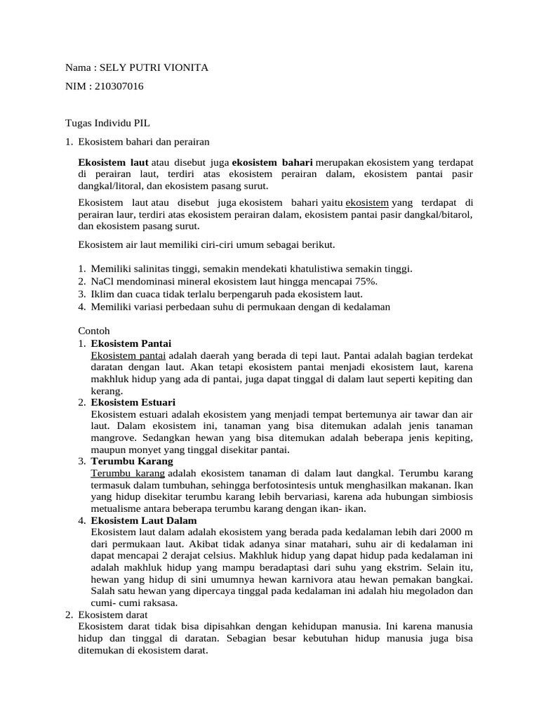 Laporan Obsevasi PIL & Individu - Sely Putri Vionita - 210307016 | PDF