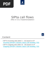 Ibpls Briefer | PDF | Computing | Information Technology