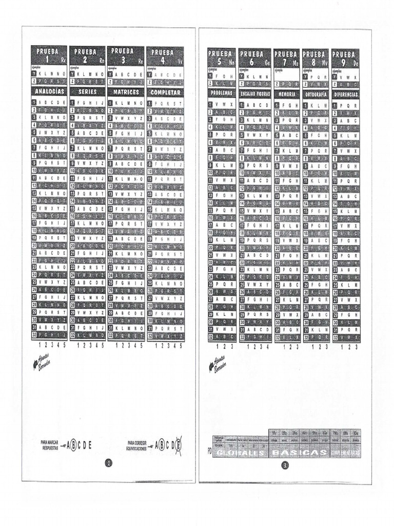 Badyg E3 - Plantilla Respuestas | PDF