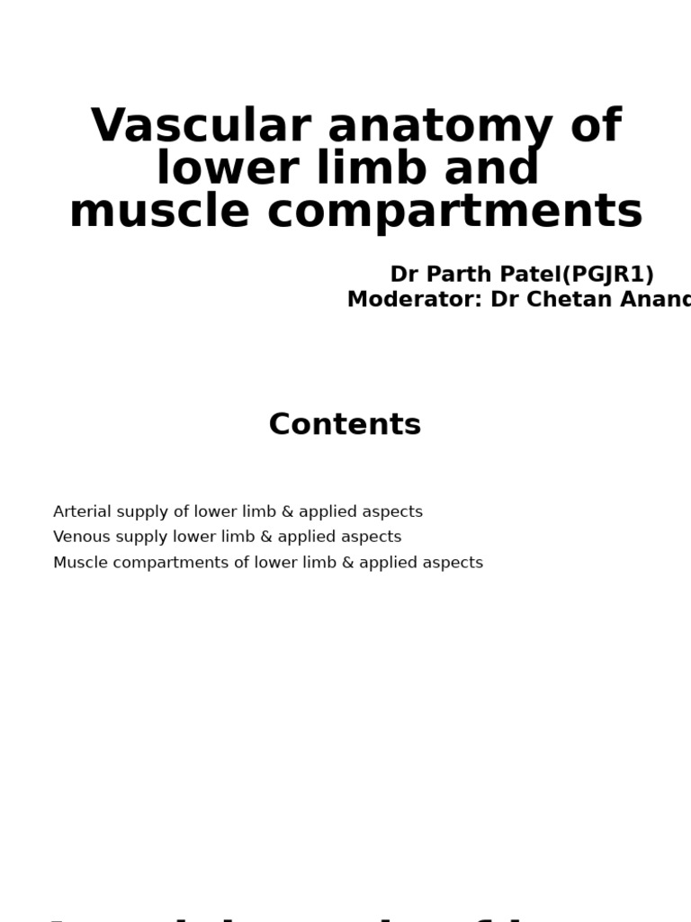 Vascular Anatomy of Lower Limb and Muscle Compartments | PDF | Vein ...