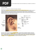 Otoscopia Normal | PDF | Oído | Anatomía