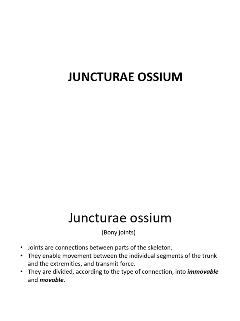 Juncturae Ossium Anatomy | PDF | Joint | Musculoskeletal System