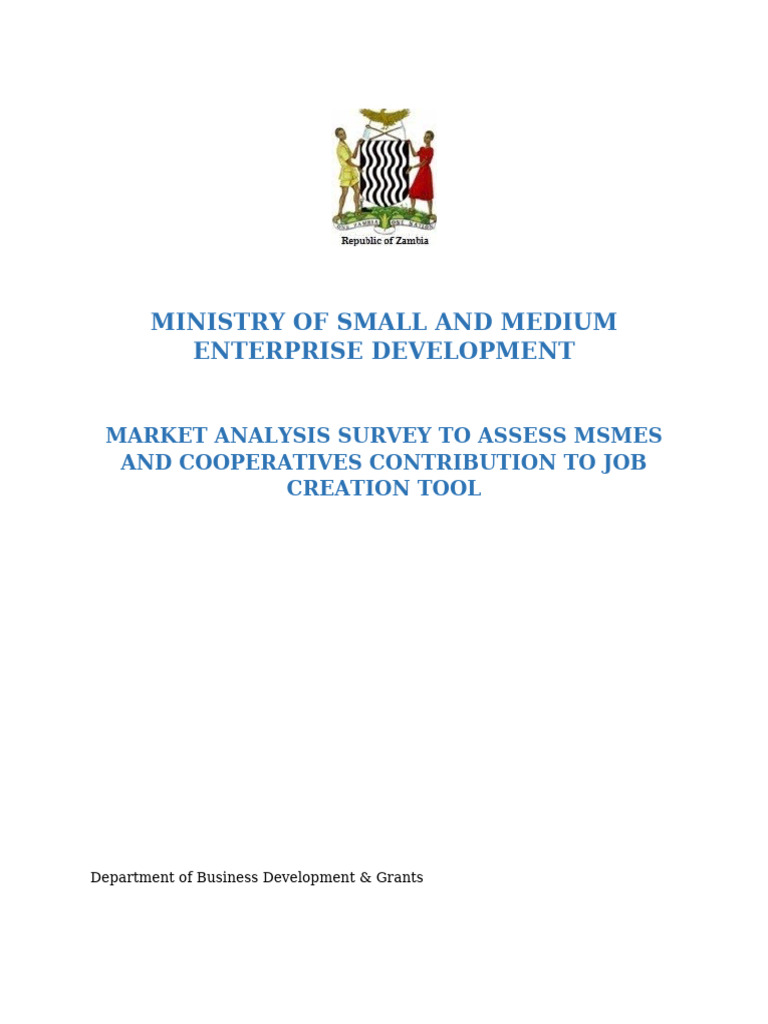 MSMED-Market Analysis Job Creation Tool Template-Revised | PDF ...