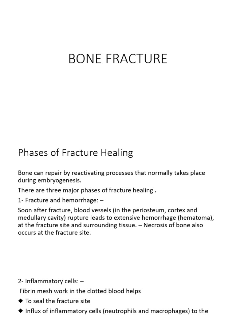 BONE FRACTURE | PDF | Bone | Skeletal System