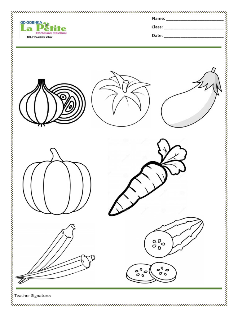 Pre Nur Worksheets | PDF