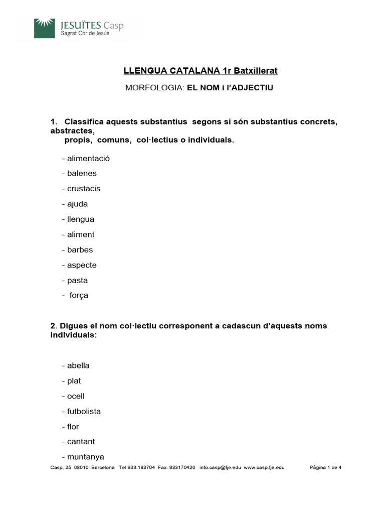 Exercicis Nom I Adjectiu | PDF