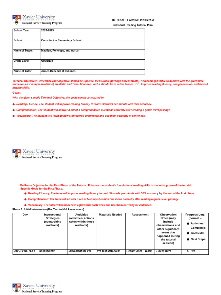 Individual Reading Tutorial Plan | PDF | Reading Comprehension | Pedagogy