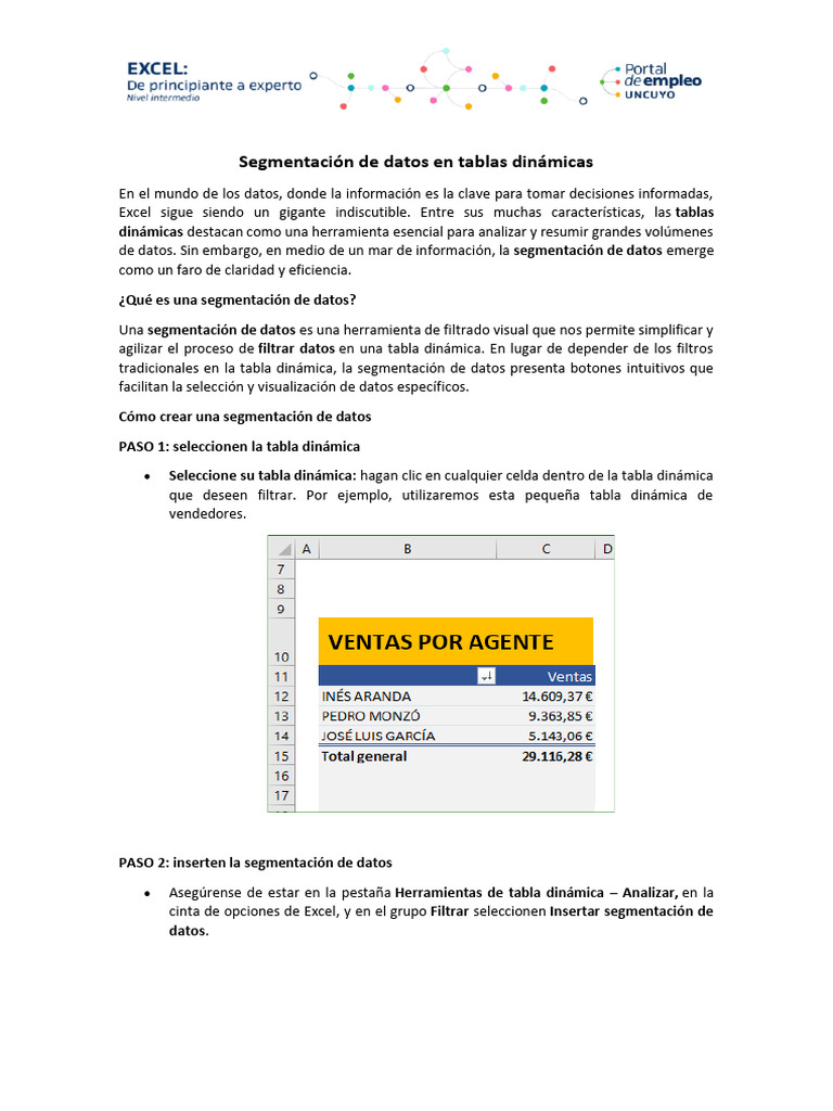 Segmentación de Datos en Excel: Guía Rápida | PDF | Segmentación de imagen | Microsoft Excel