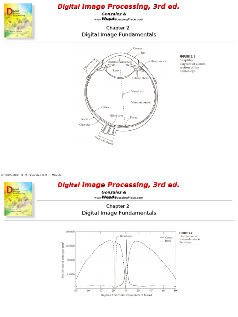 DIP3E Chapter02 Art | PDF | Imaging | Digital Imaging