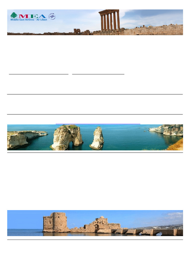 Mea Your Electronic Ticket Receipt | PDF | Civil Aviation | Airlines