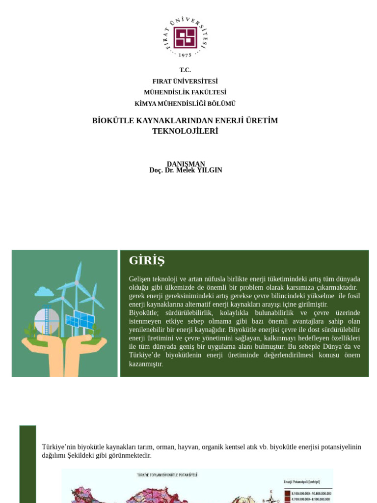 BİOKÜTLE Sunu | PDF