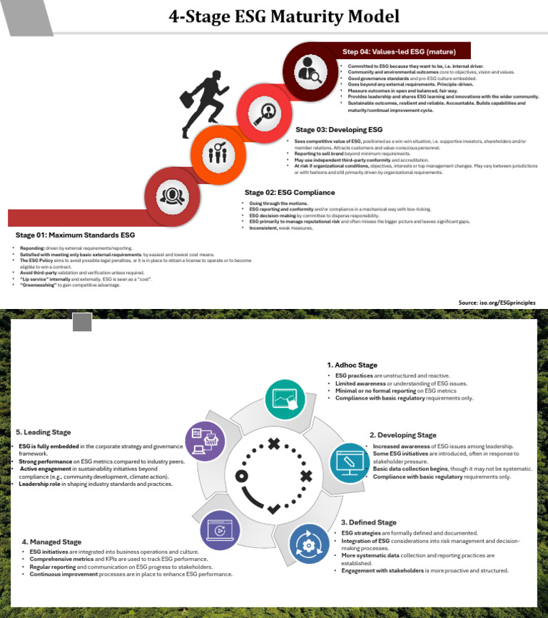 ESG Maturity Models 1732743831 | PDF | Regulatory Compliance | Governance