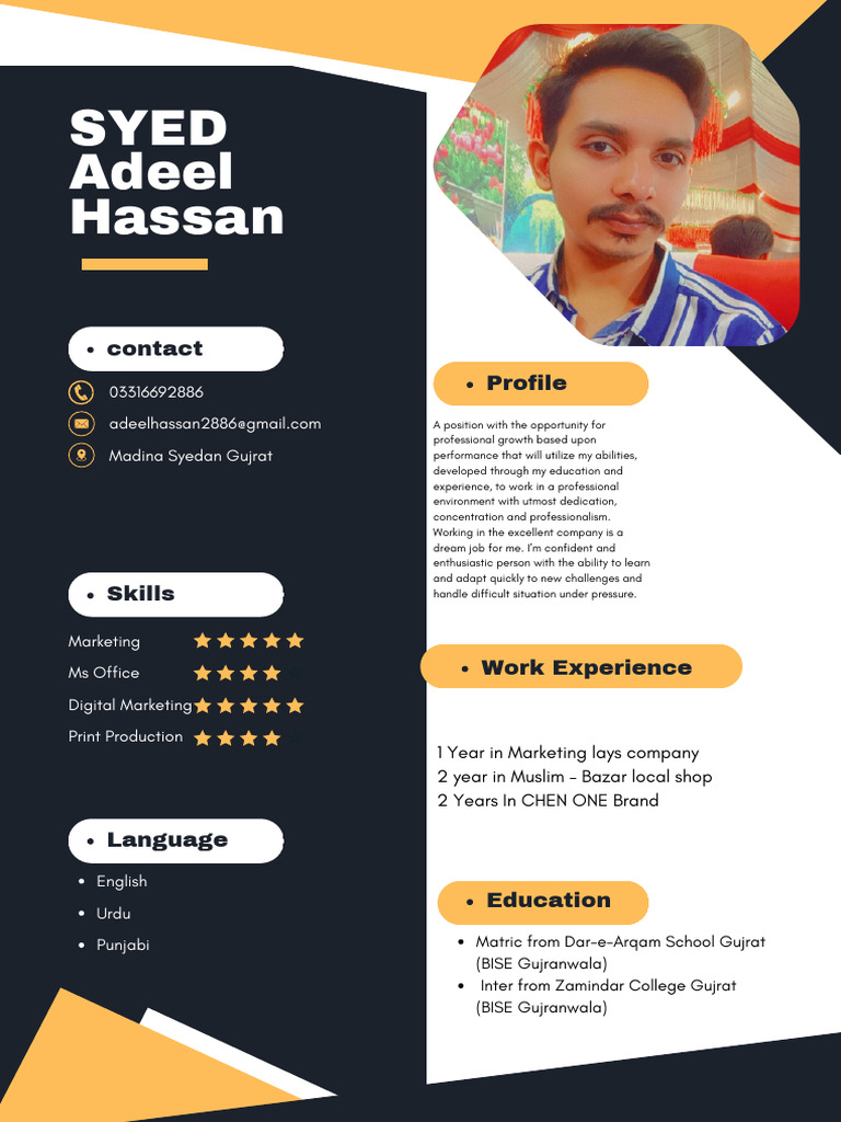 Syed Adeel Hassan Cv | PDF