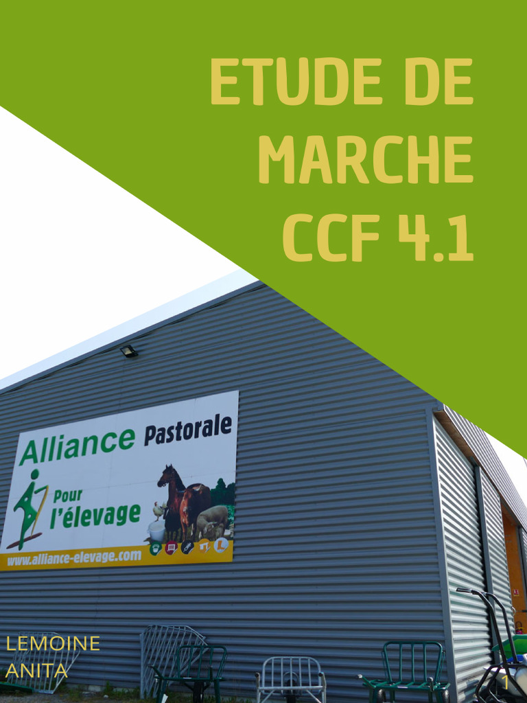 Etude de Marche | PDF