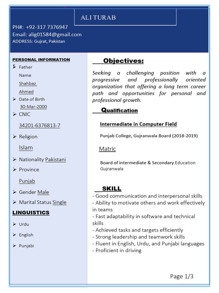 Ali Turab Cv (1) | PDF | Retail | Business
